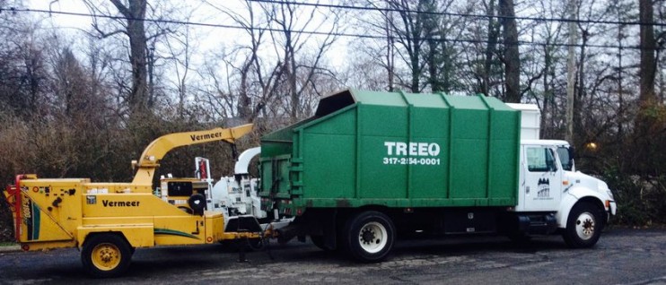 tree removal chip truck - TREEO TREE SERVICE